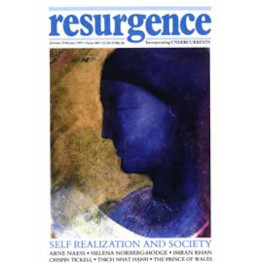 Jan/Feb 1997 issue - Resurgence