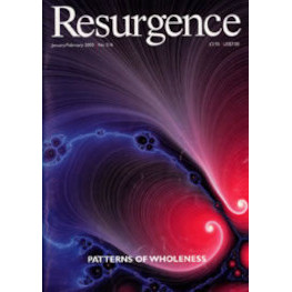 Jan/Feb 2003 issue - Resurgence