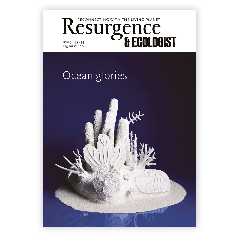 Sample Copy - Resurgence